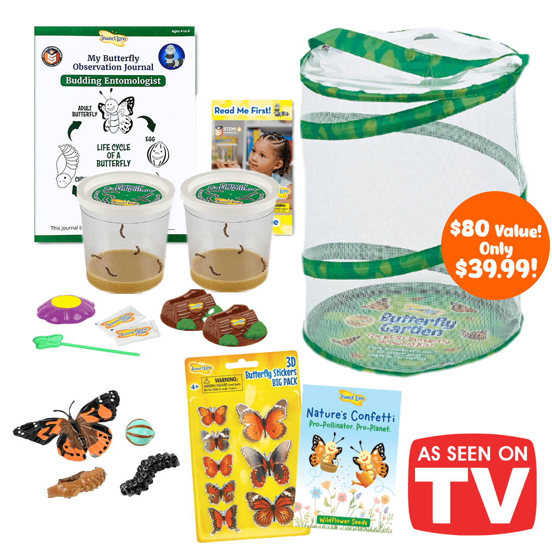 Butterfly Garden® As Seen On TV - Insect Lore