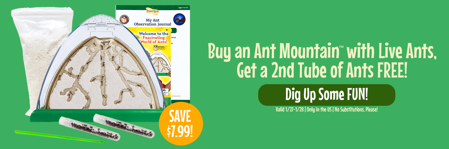 Insect Lore | The World's First Butterfly-By-Mail Company