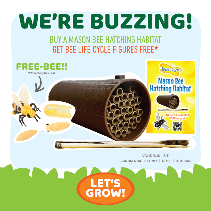 Insect Lore | The World's First Butterfly-By-Mail Company