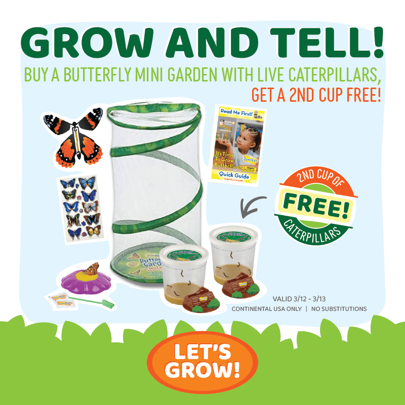 Insect Lore | The World's First Butterfly-By-Mail Company