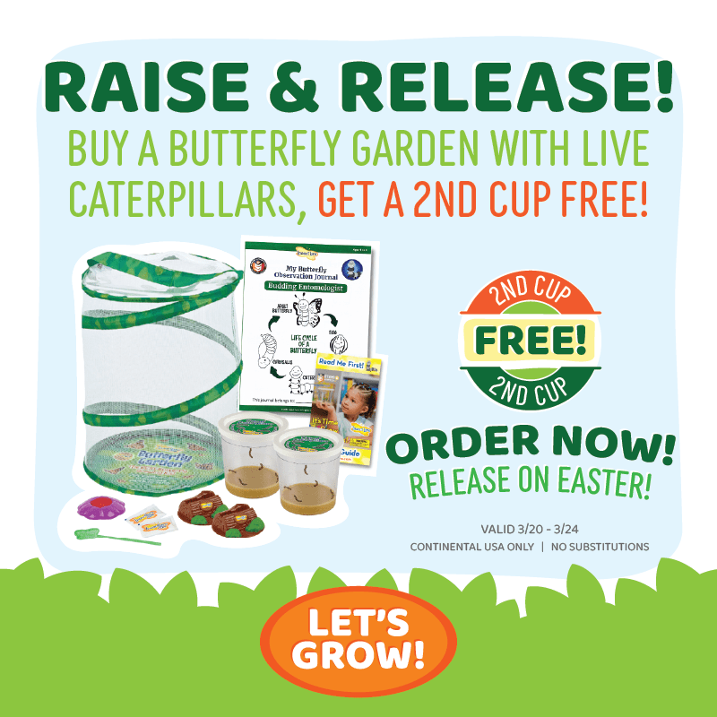 Insect Lore | The World's First Butterfly-By-Mail Company