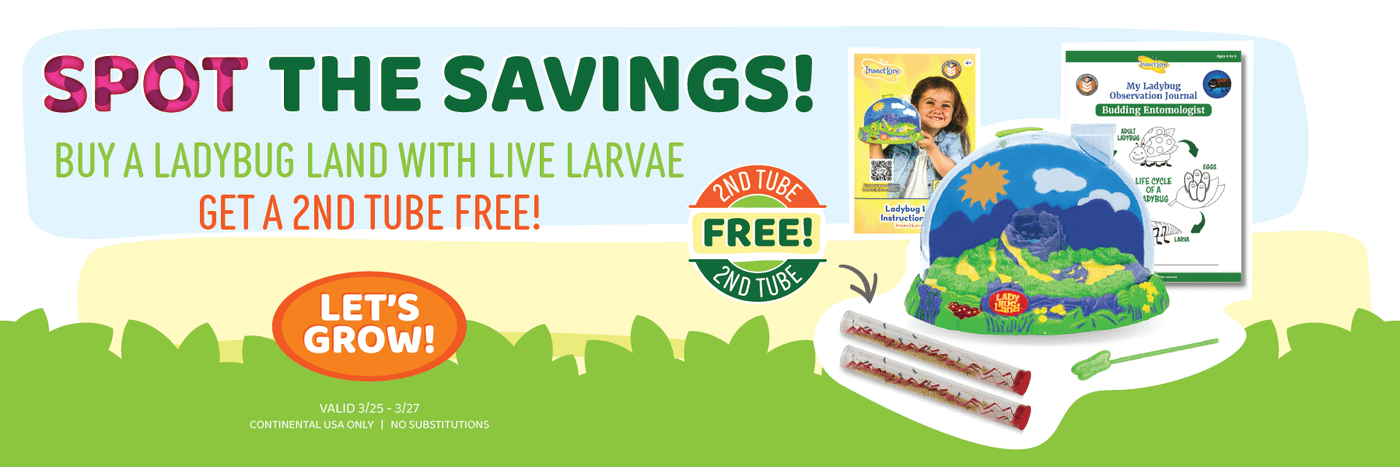 Insect Lore | The World's First Butterfly-By-Mail Company