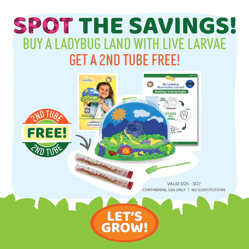 Insect Lore | The World's First Butterfly-By-Mail Company