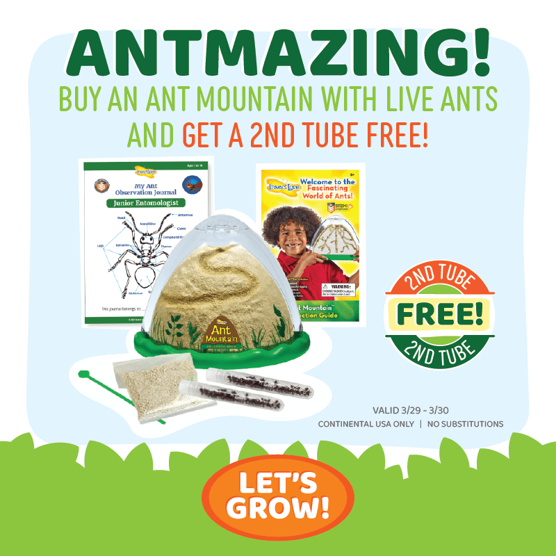 Insect Lore | The World's First Butterfly-By-Mail Company