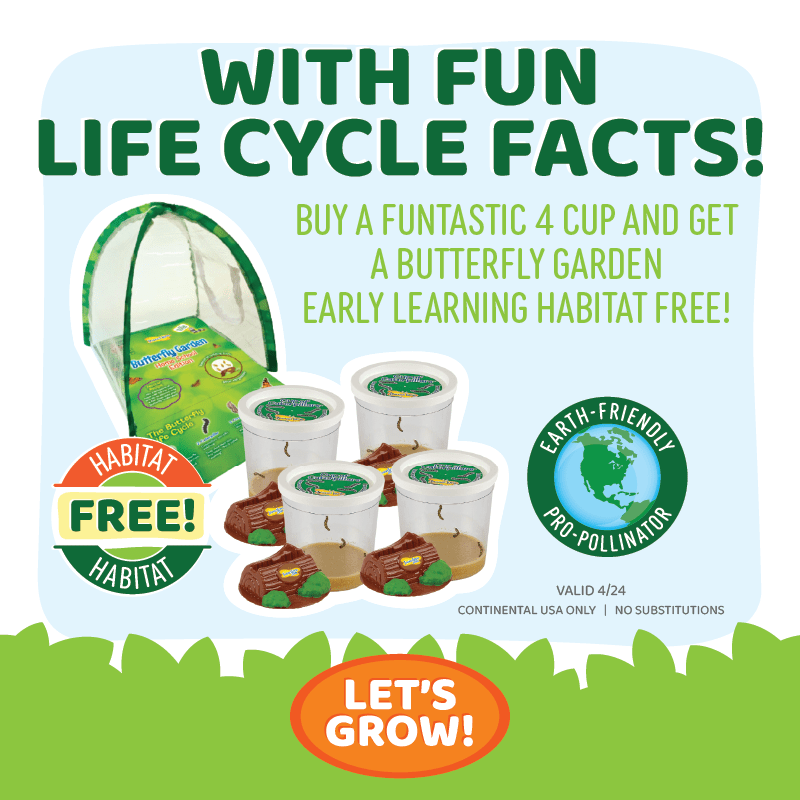 Insect Lore | The World's First Butterfly-By-Mail Company