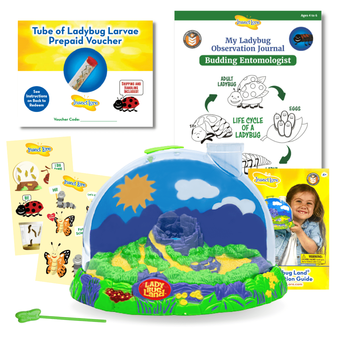 Shop Ladybug Kits with Vouchers | Redeem When Ready - Insect Lore
