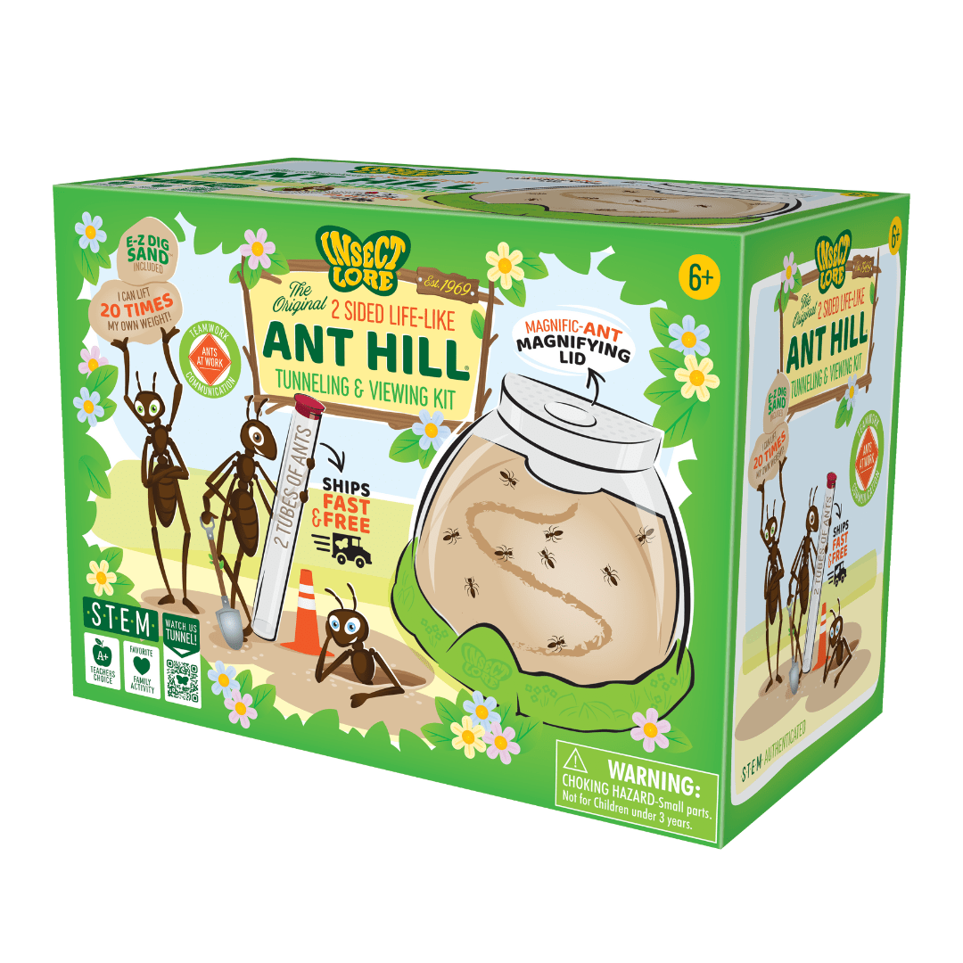 Ant Hill™ with Voucher for Live Ants | Ant Tunneling Kit - Insect Lore