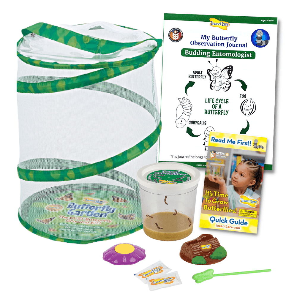 Butterfly Garden® With Live Cup of Caterpillars™ - Insect Lore