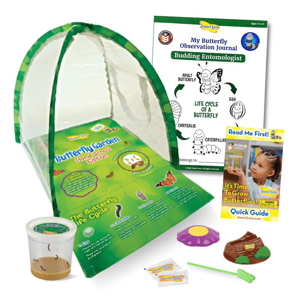 Butterfly Kits with Live Caterpillars | Grow Butterflies at Home ...