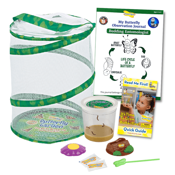 Butterfly Kits with Live Caterpillars | Grow Butterflies at Home ...