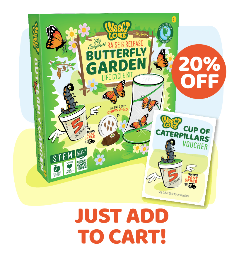 Insect Lore | The World's First Butterfly-By-Mail Company