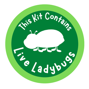 Ladybug Land® with Live Ladybugs | New & Improved Design - Insect Lore