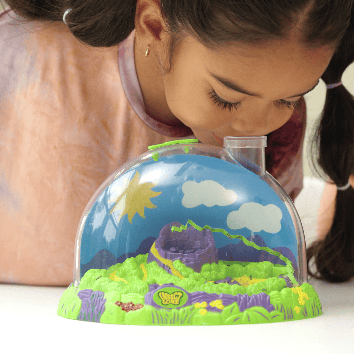 Ladybug Land® with Live Ladybugs | New & Improved Design - Insect Lore