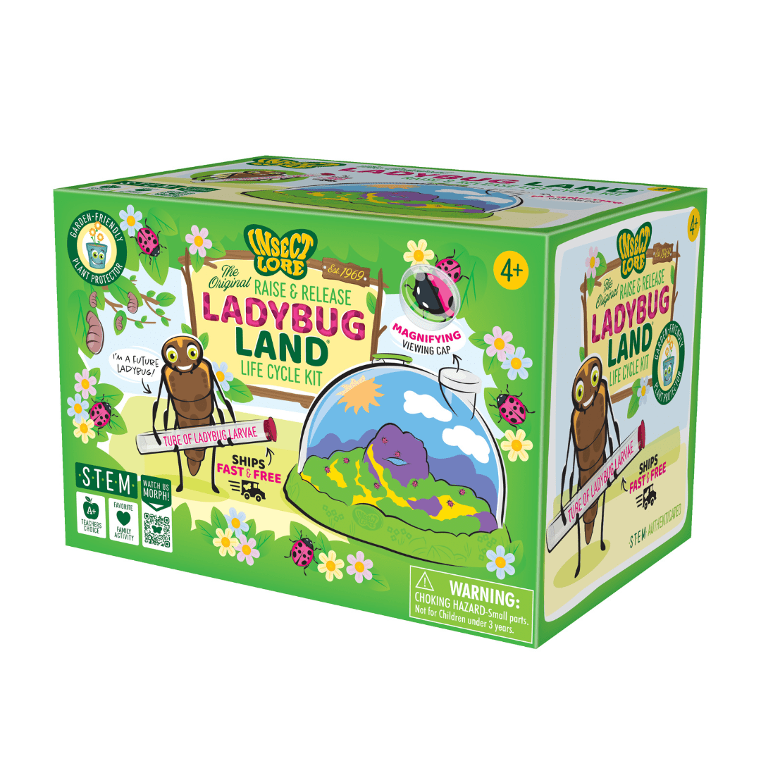 Insect Lore | The World's First Butterfly-By-Mail Company