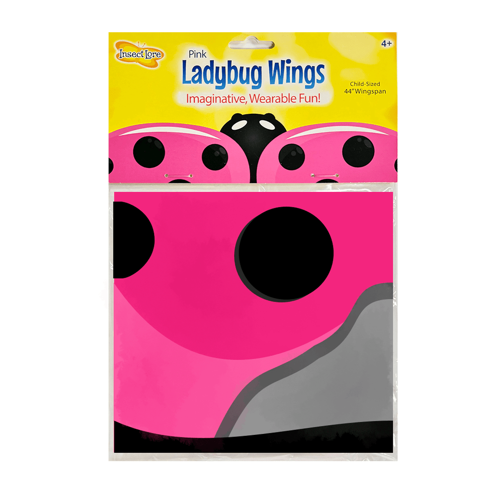 Ladybug Larvae for Your Garden or Ladybug Kit | Shop Today - Insect Lore