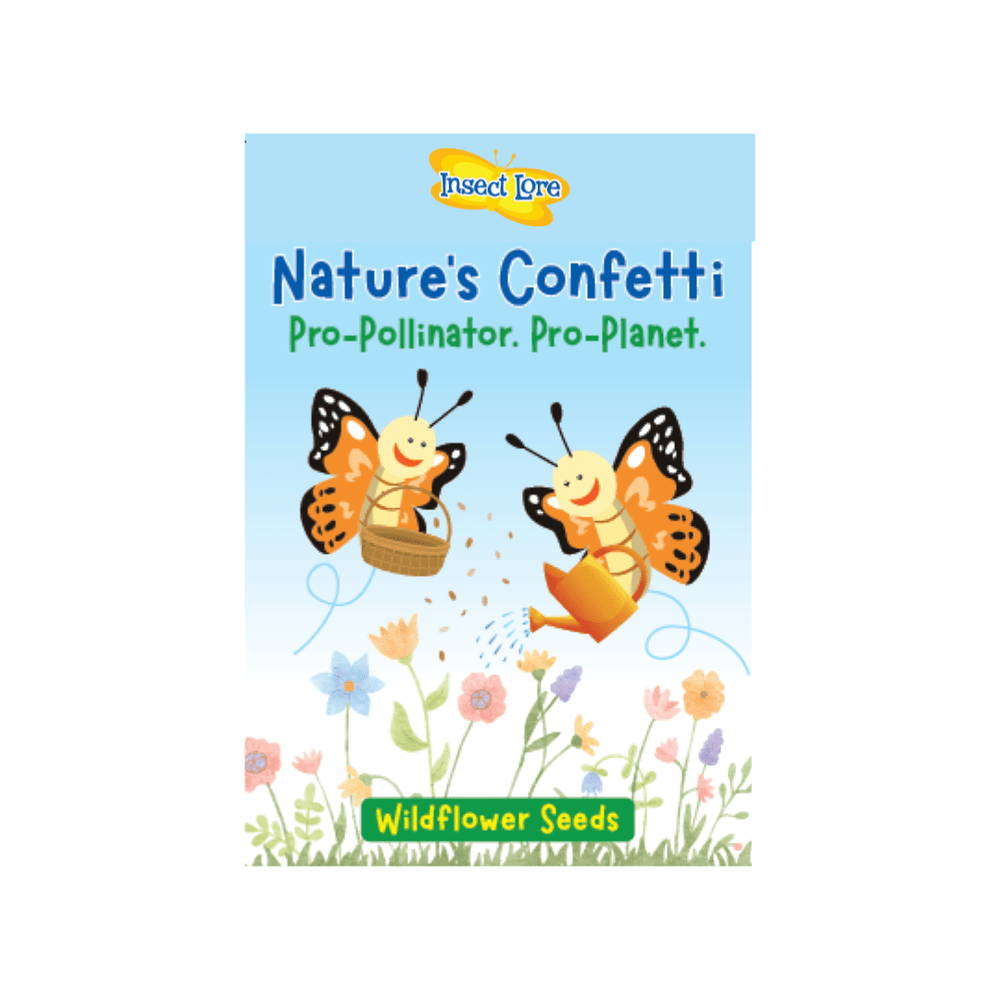 Deluxe Butterfly Feeder & Wildflower Seeds Bundle - Insect Lore