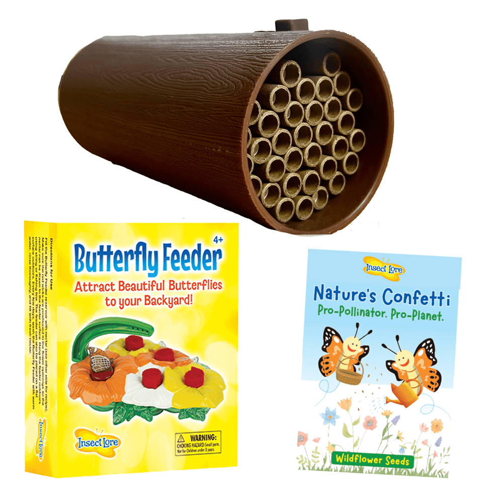 Deluxe Butterfly Feeder & Wildflower Seeds Bundle - Insect Lore