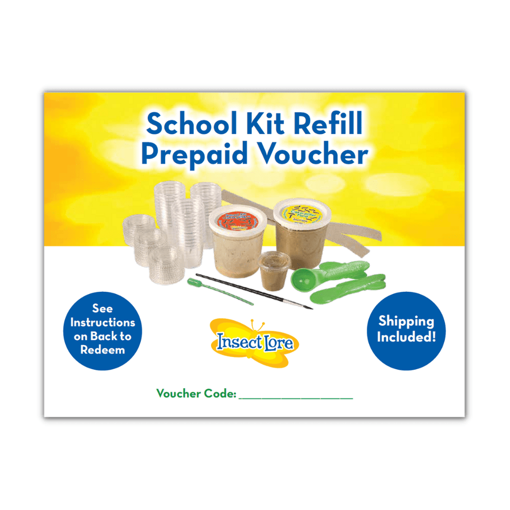 Caterpillar Vouchers - Insect Lore