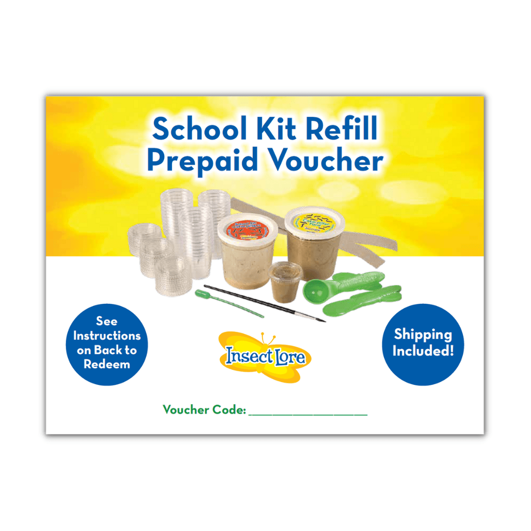 Caterpillar Vouchers - Insect Lore