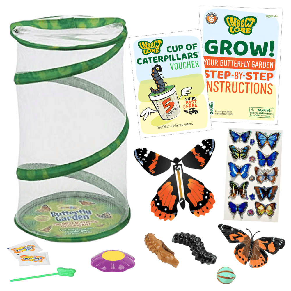 Collections - Insect Lore