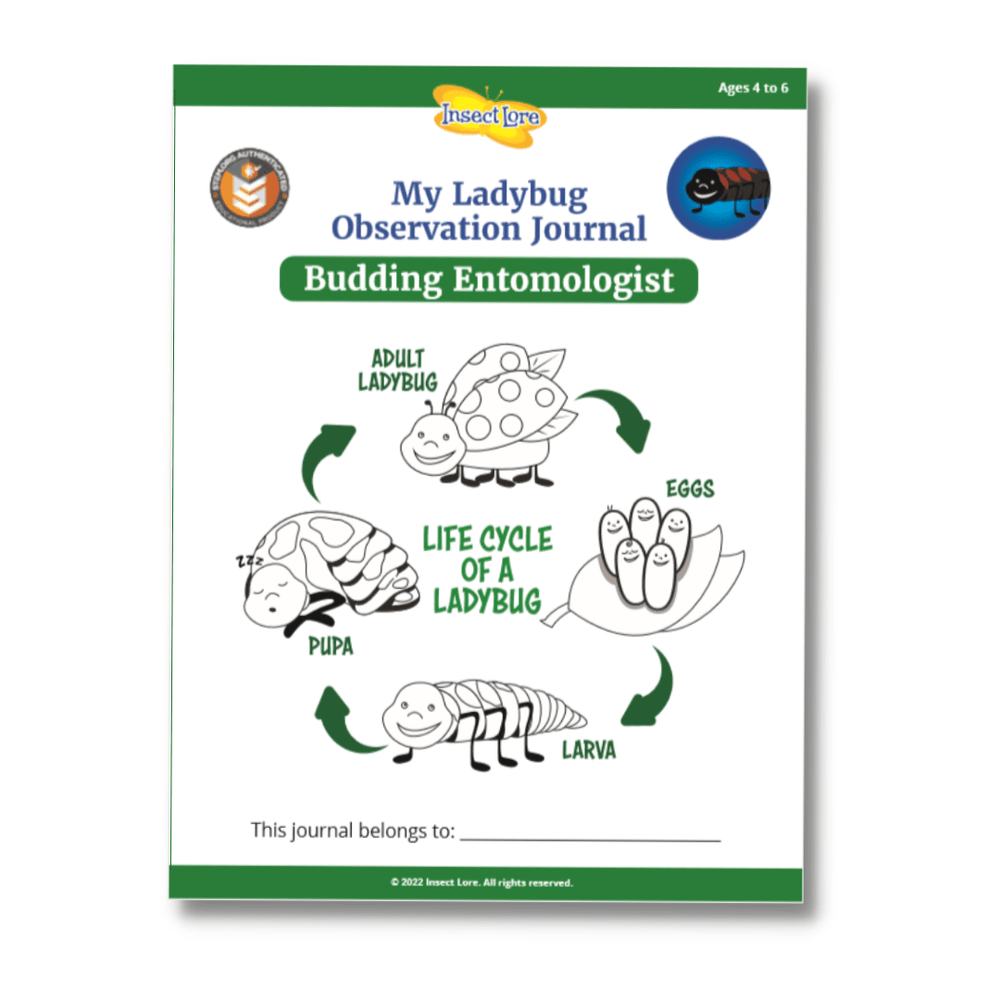 Butterfly Observation Journal Bundle | Budding & Junior Entomologist ...