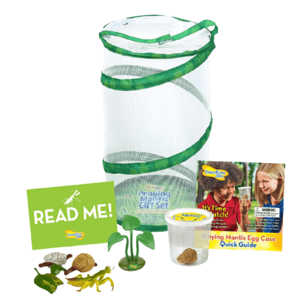 Shop Praying Mantis Kits, Gifts & Activities - Insect Lore