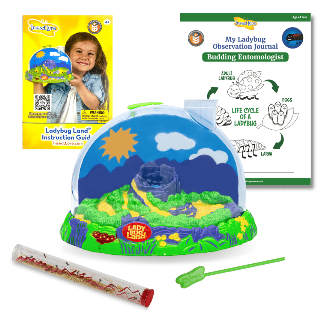 Ladybug Kits with Live Ladybug Larvae | Shop Today - Insect Lore