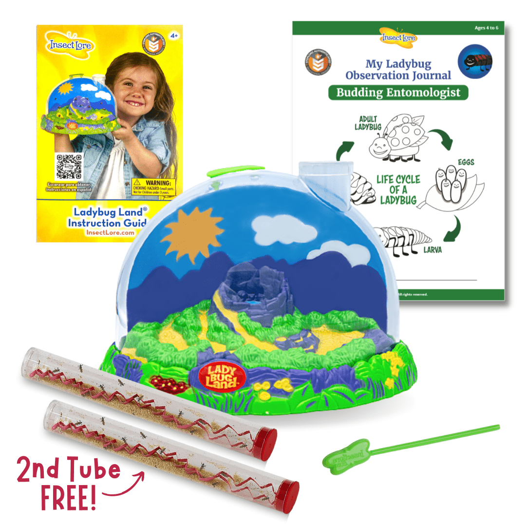 Ladybug Kits with Live Ladybug Larvae | Shop Today - Insect Lore