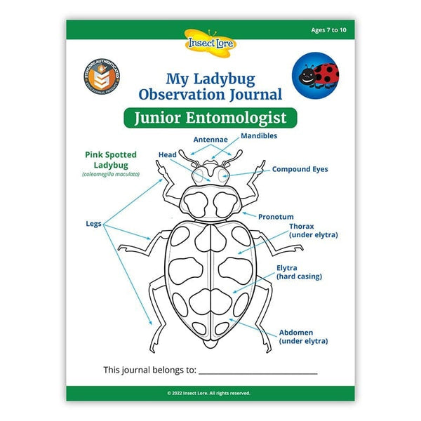 Ladybug STEM Activity Journal for Junior Entomologists - Insect Lore
