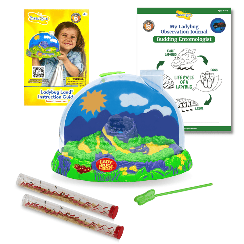 Life Cycle Lessons Bundle | Live Caterpillars & Ladybug Larvae - Insect ...