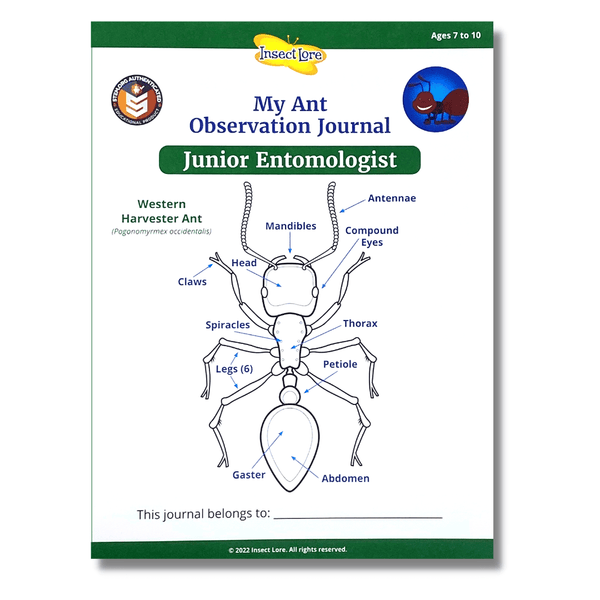 Ant Observation & Activity Journal for the Junior Entomologist - Insect ...